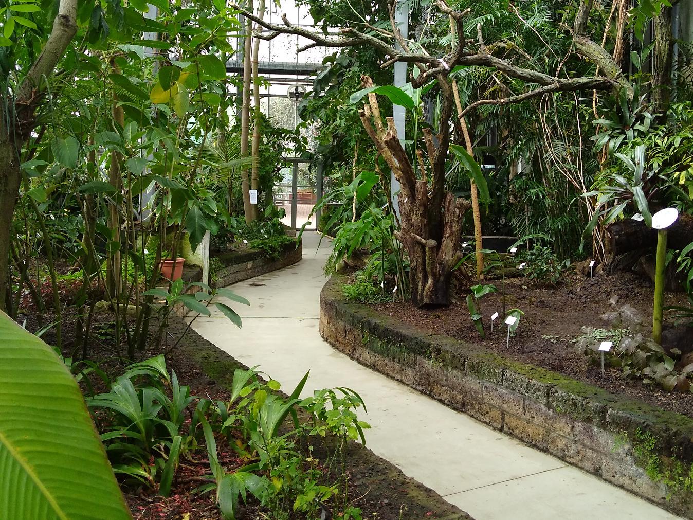Botanischer Garten Der Universität Leipzig - Botanischer Garten Der ... Botanischer Garten Der Universität Leipzig - Botanischer Garten Der ...